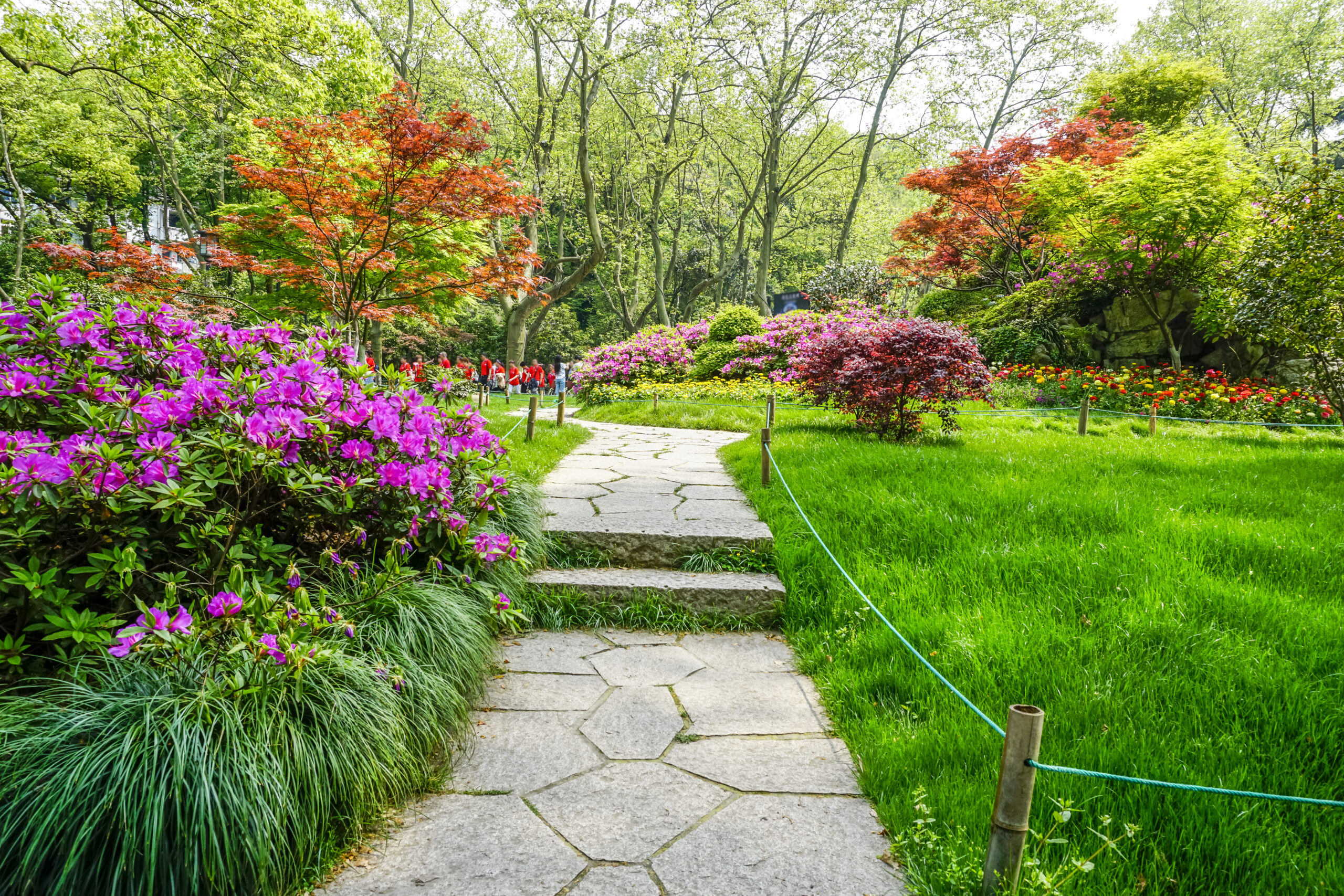 Art'mony Paysage - Paysagiste Professionnel